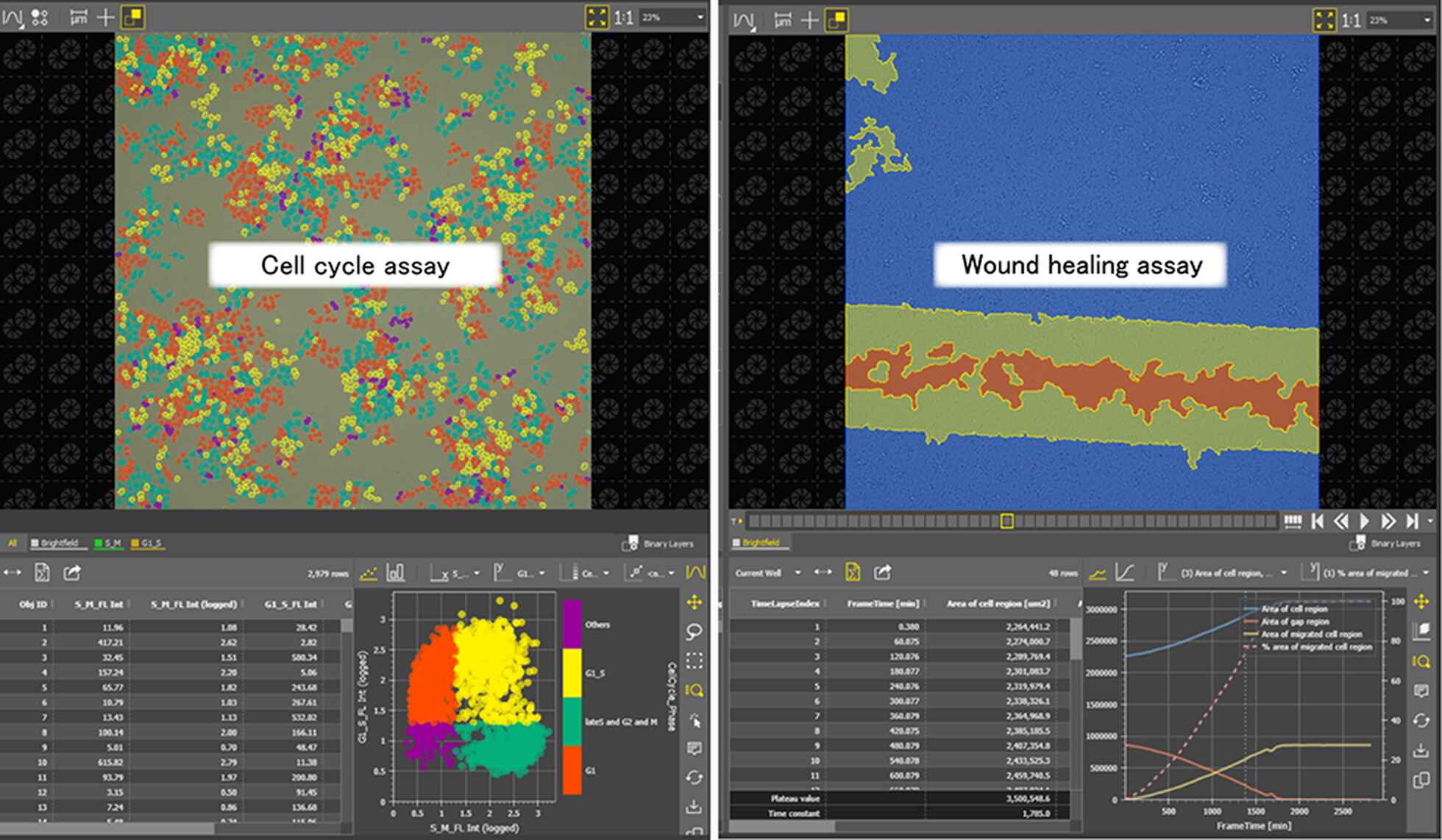 Nikon Announces New Image Analysis Functions to Empower Drug Discovery ...