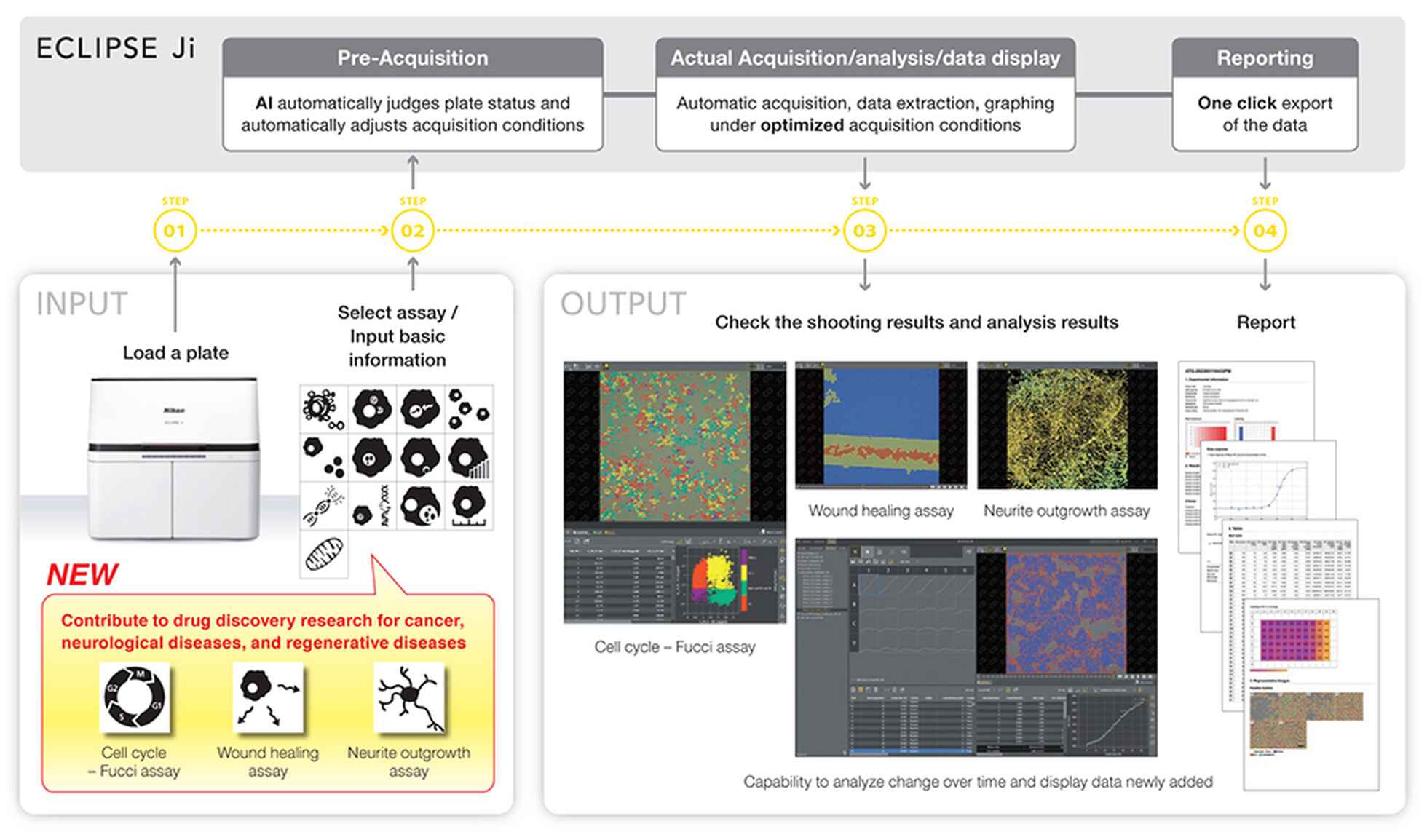 Nikon Announces New Image Analysis Functions to Empower Drug Discovery Research for Cancer ...