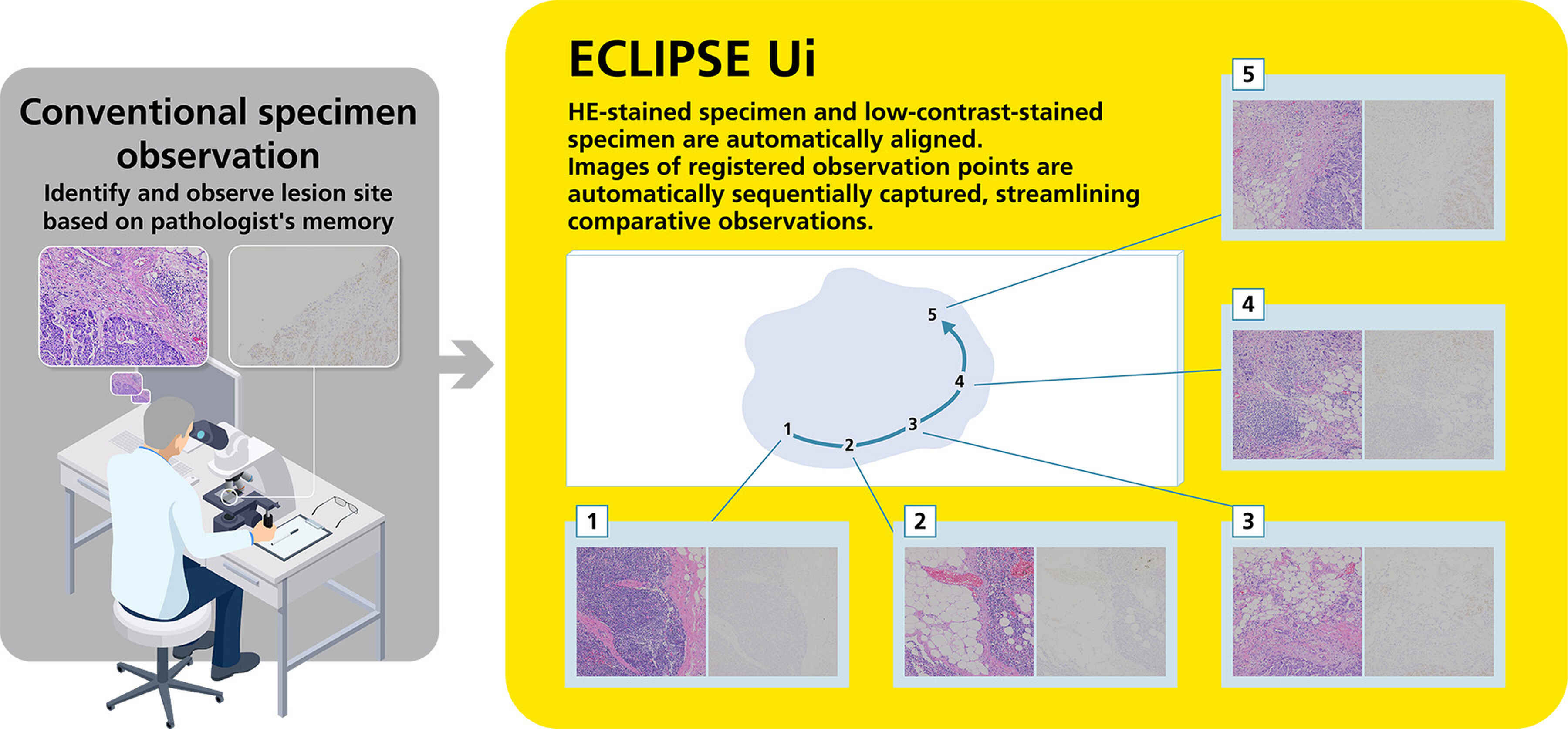 Nikon launches the ECLIPSE Ui Ver. 1.3 digital imaging microscope for ...