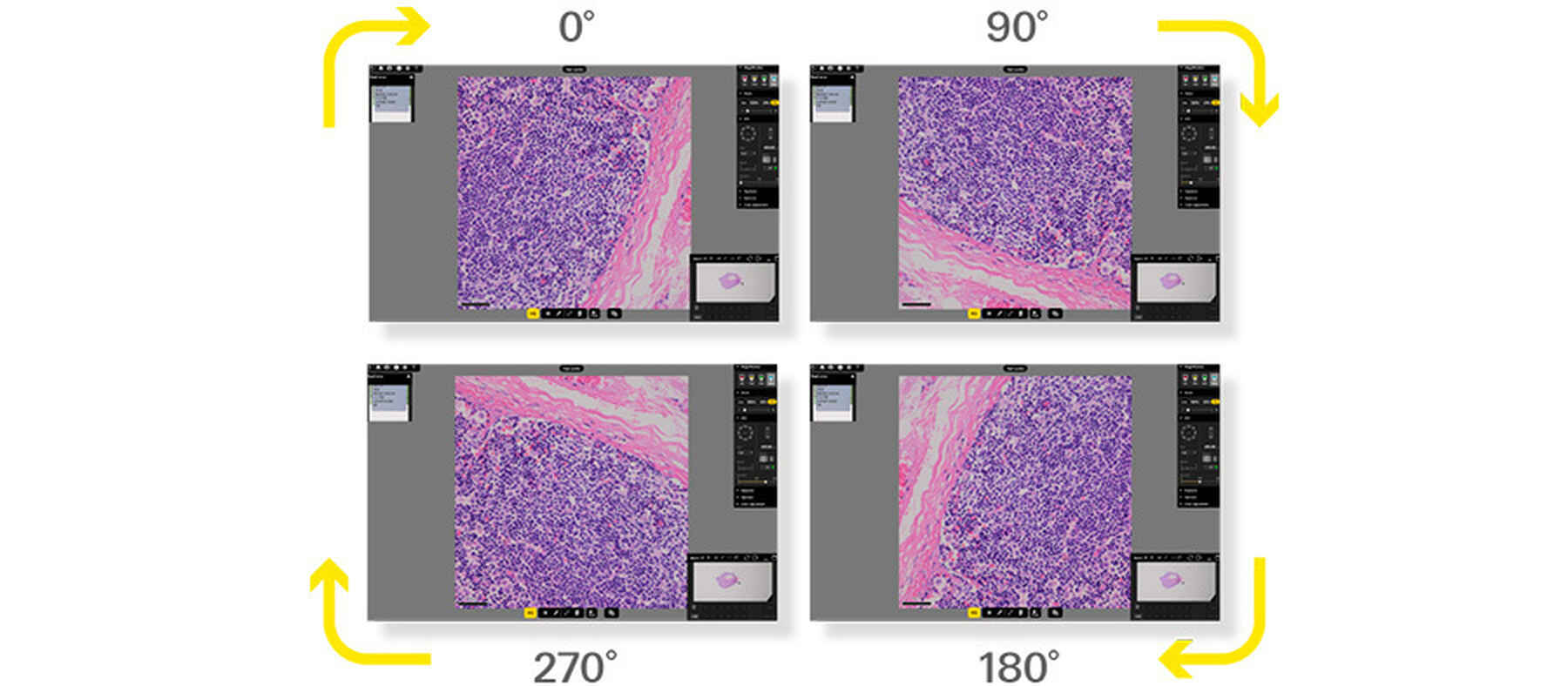 Nikon launches the ECLIPSE Ui Ver. 1.3 digital imaging microscope for ...