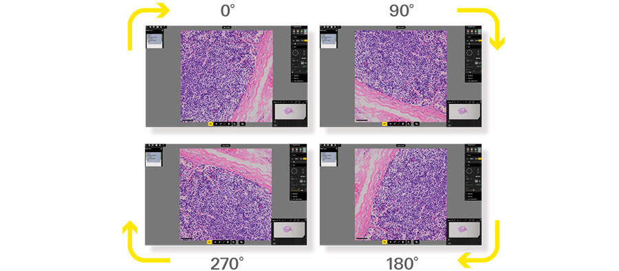 Nikon launches the ECLIPSE Ui Ver. 1.3 digital imaging microscope for ...