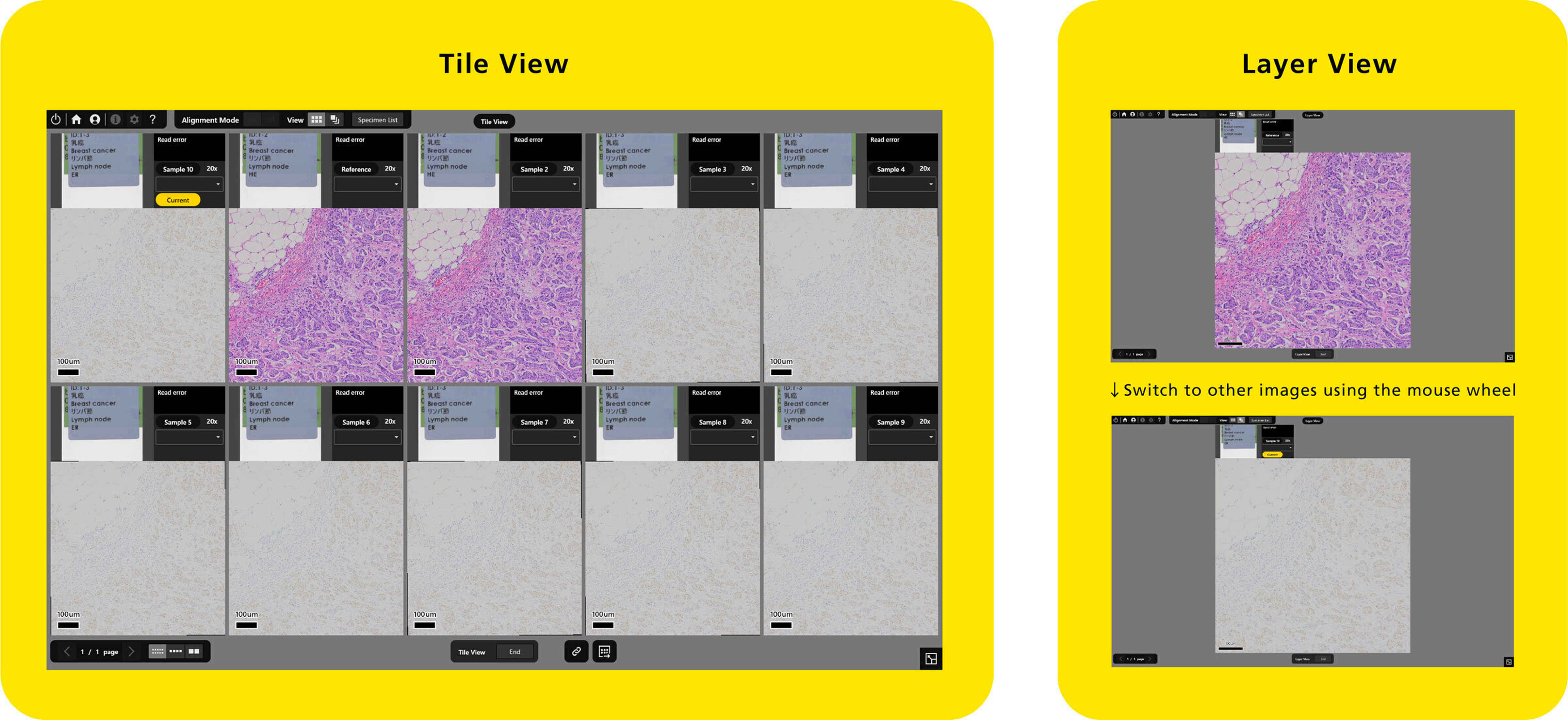 Nikon releases Ver 1.4 of the ECLIPSE Ui medical digital imaging ...
