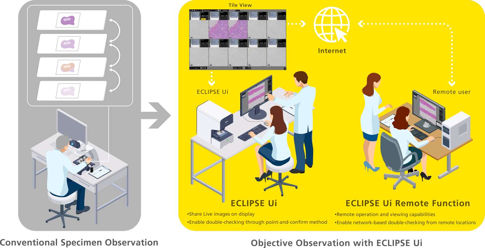 Nikon releases Ver 1.4 of the ECLIPSE Ui medical digital imaging ...