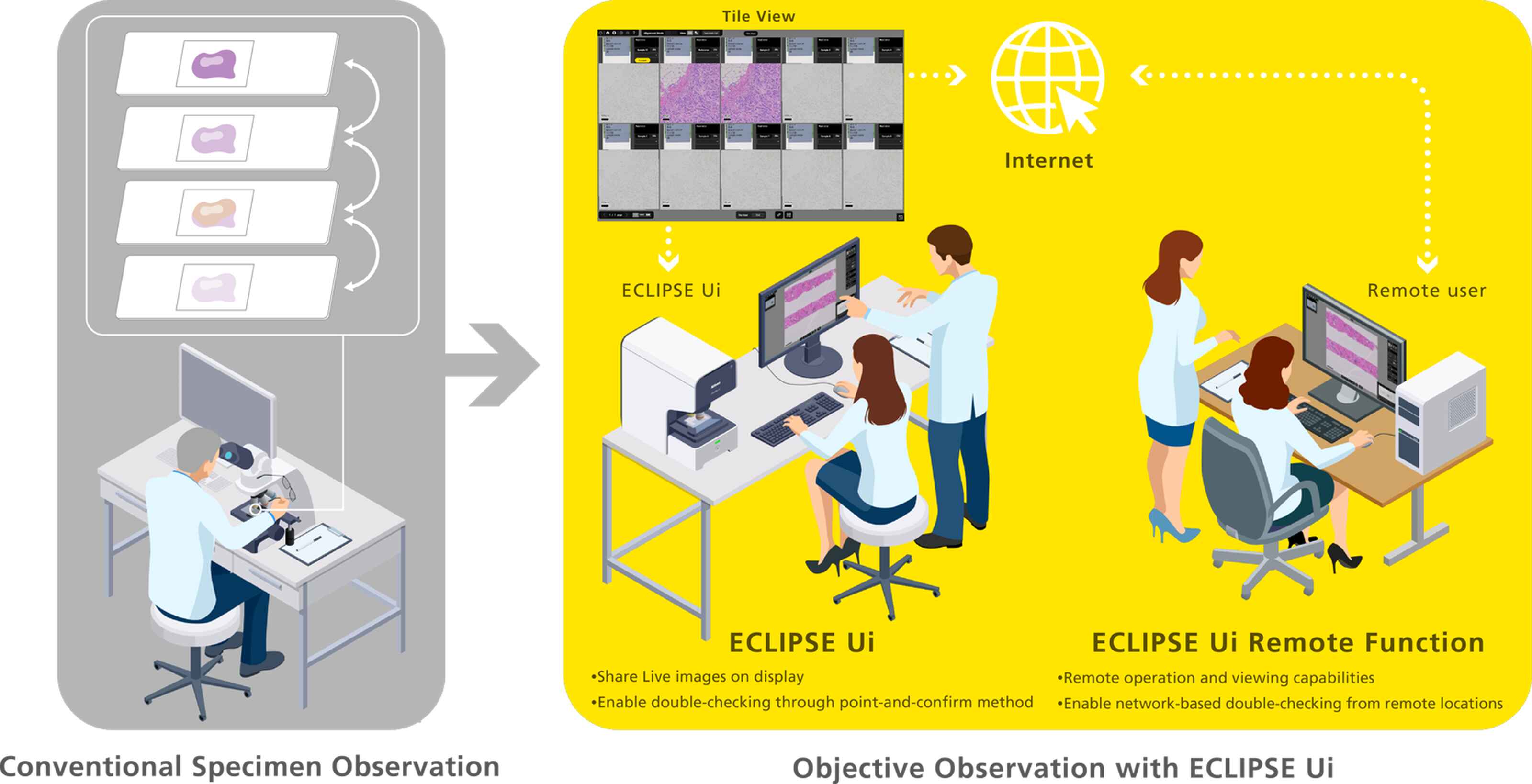 Nikon releases Ver 1.4 of the ECLIPSE Ui medical digital imaging ...