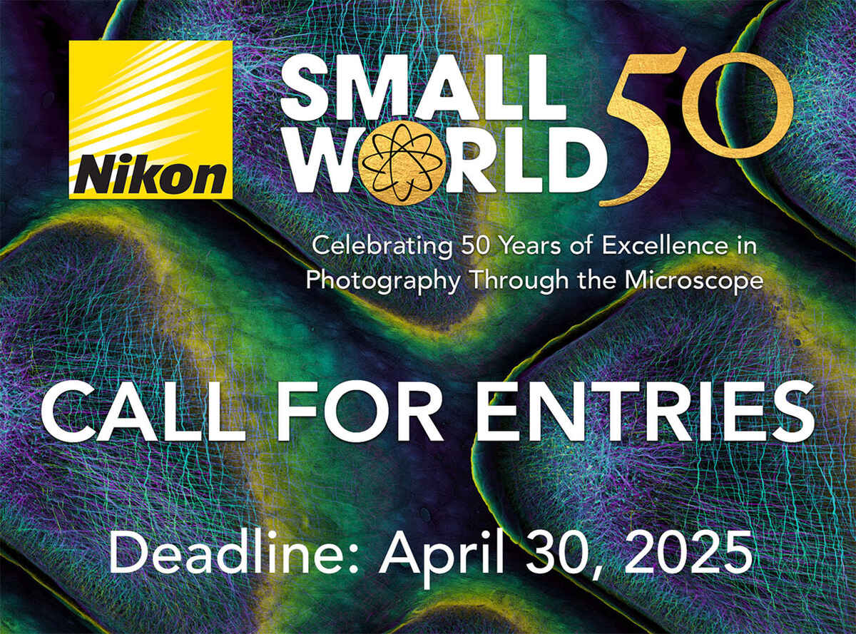 Nikon Announces it is Accepting Images for its Nikon Small World Photo ...