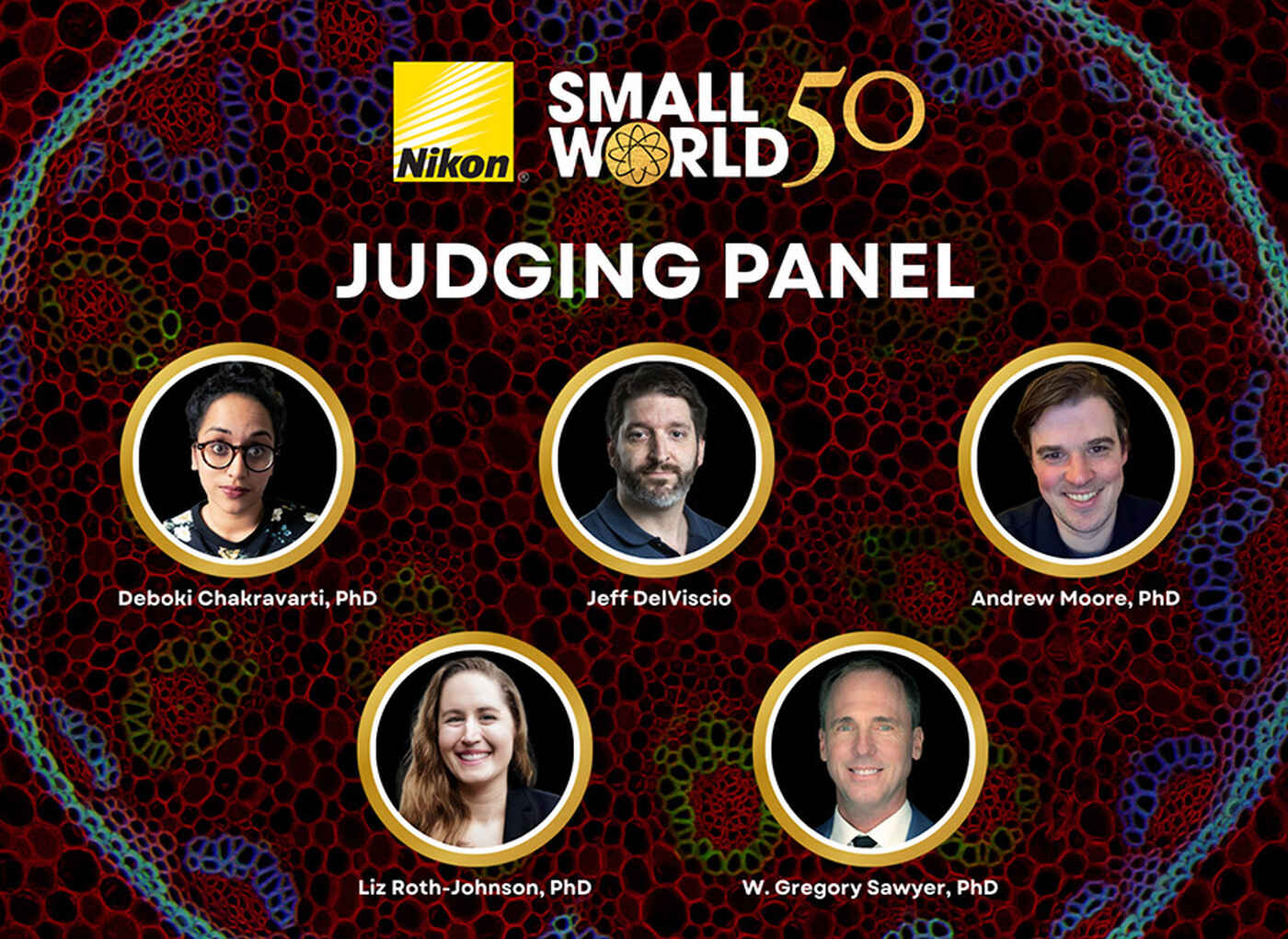 Nikon Announces Judging Panel for the 51st Annual Small World ...