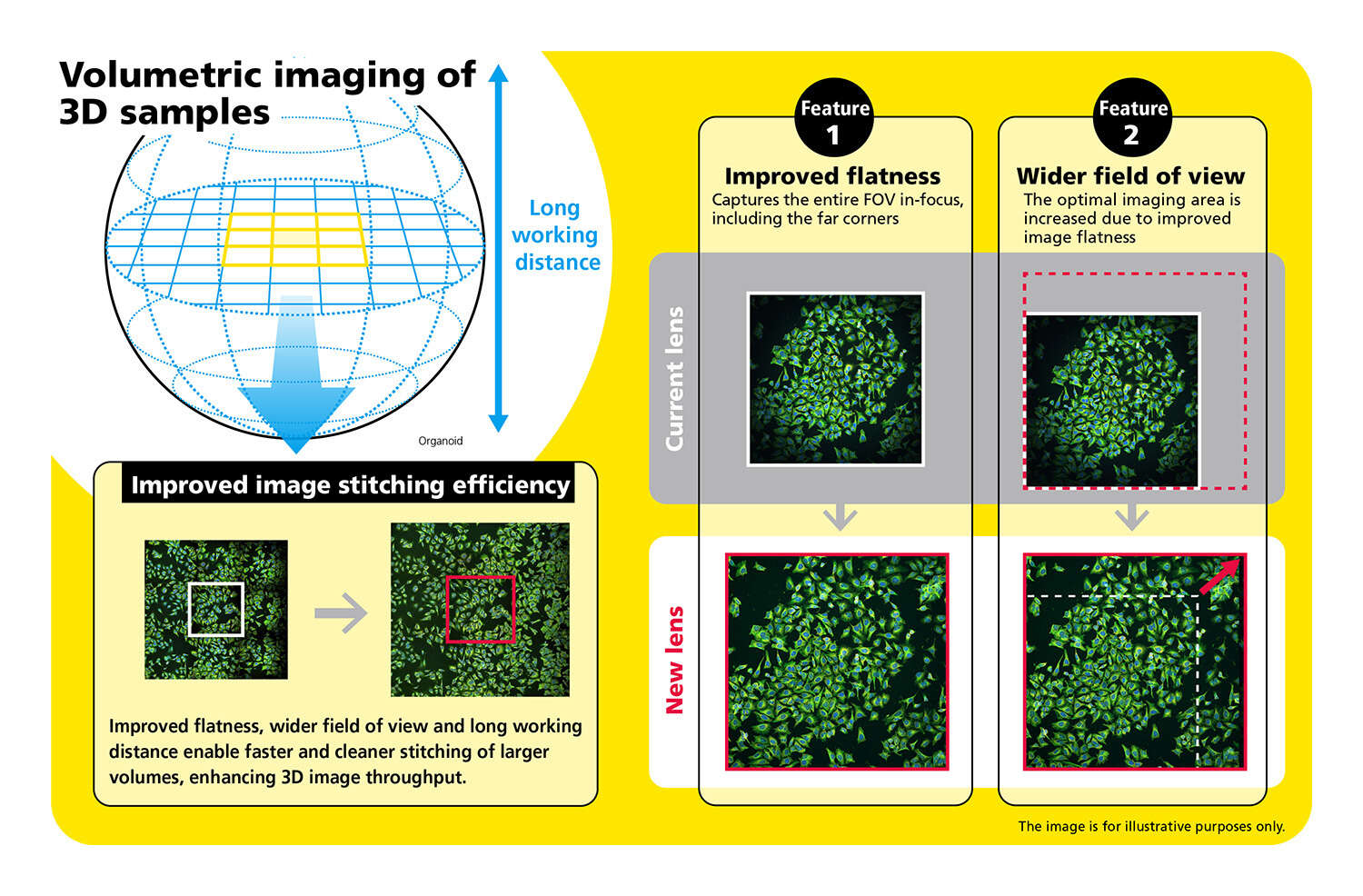 Nikon releases the CFI Plan Apochromat LWD Lambda S Series 20XC WI ...
