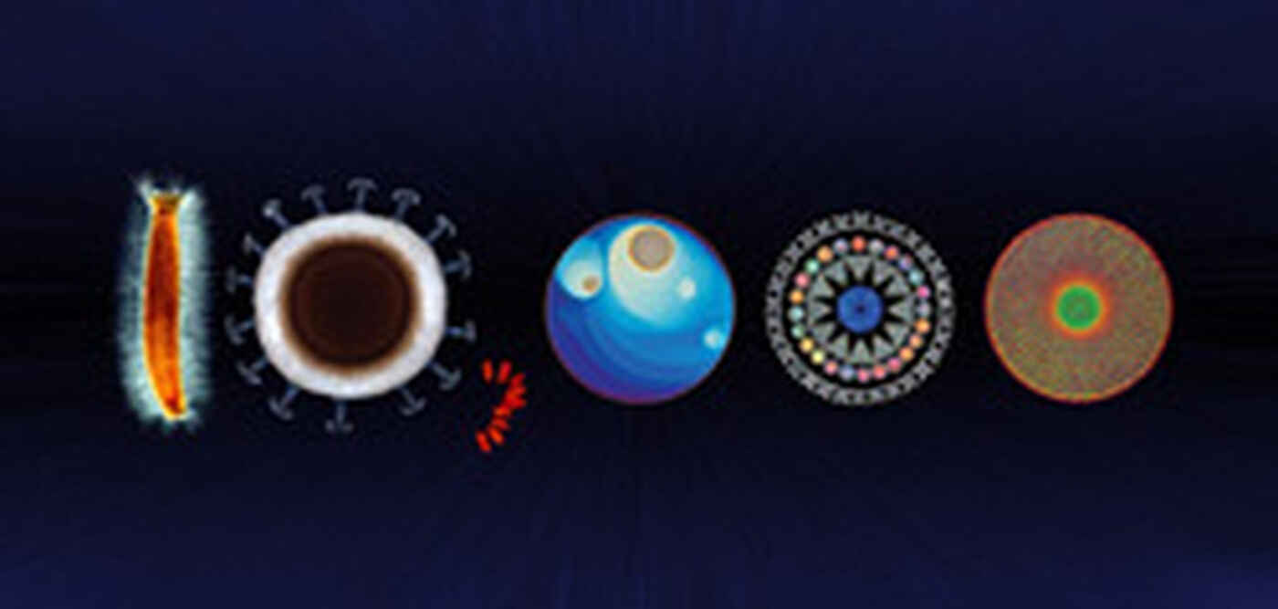 Thanks for Being a Huge Part of our Small World | News | Nikon ...