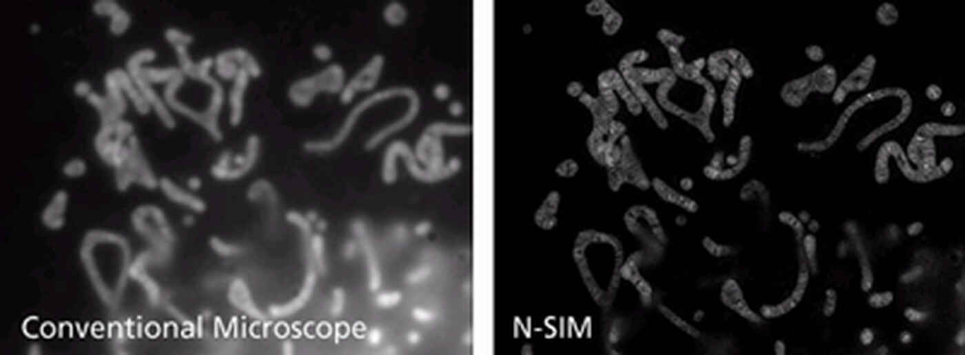 Nikon Corporation and UCSF Office of Technology Management Agree on ...