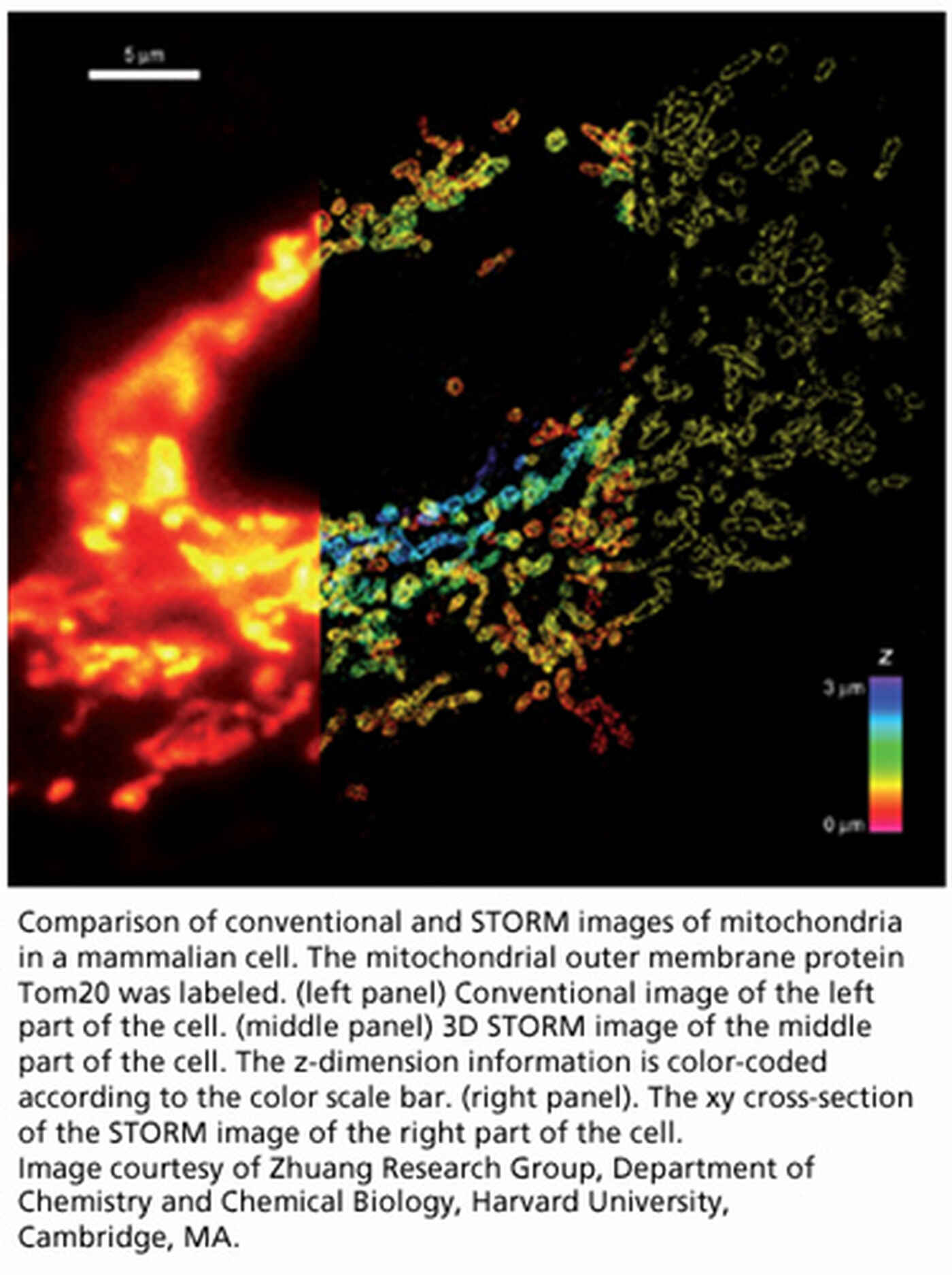 Nikon Corporation Acquires License From Harvard University For “STORM ...