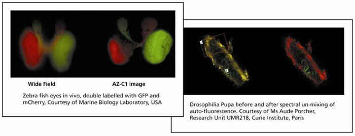 Nikon Launches New Macro Laser Confocal Microscope | News | Nikon ...
