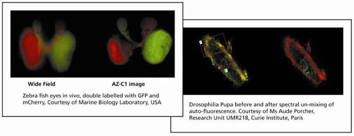 Nikon Launches New Macro Laser Confocal Microscope | News | Nikon ...