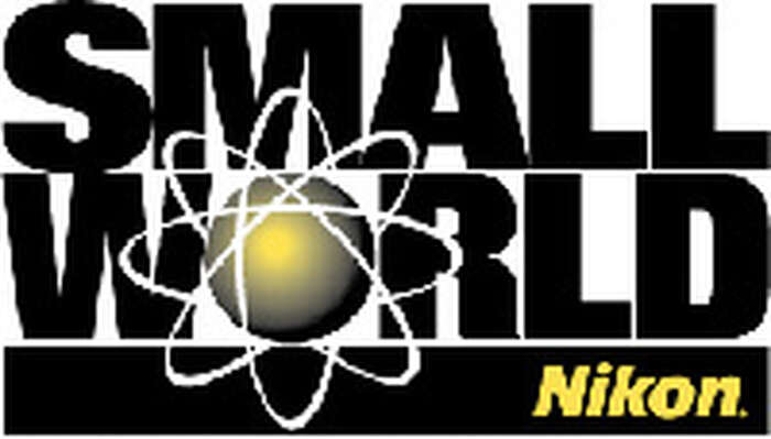 Nikon Instruments Opens Judging Of This Year's Nikon Small World ...