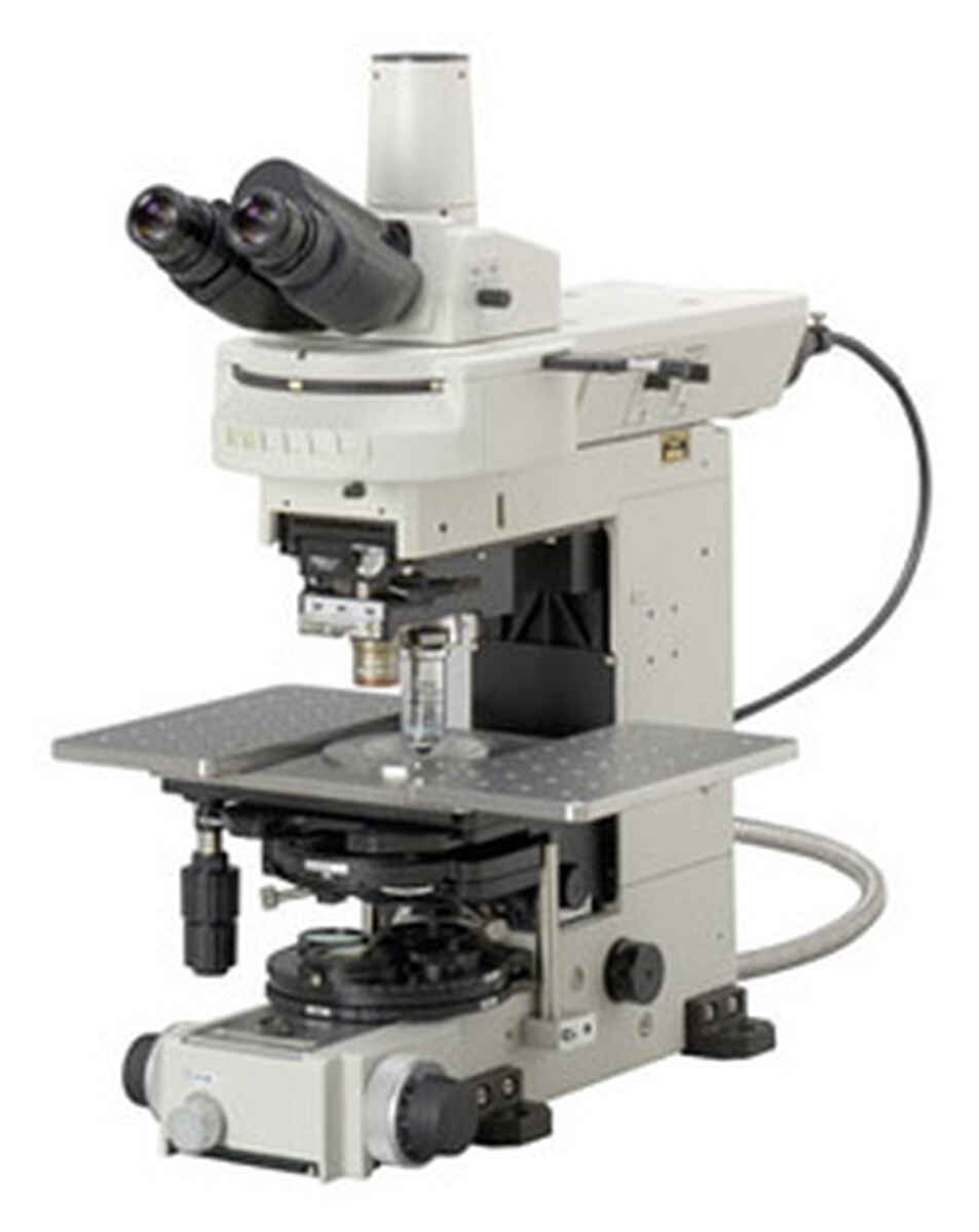Nikon's New FN1 Upright Focusing Nosepiece Microscope Delivers ...