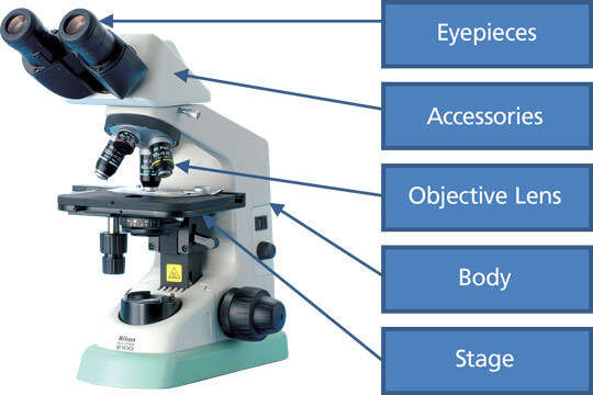 Recommended Handling and Disinfecting Procedures for Nikon Microscope ...