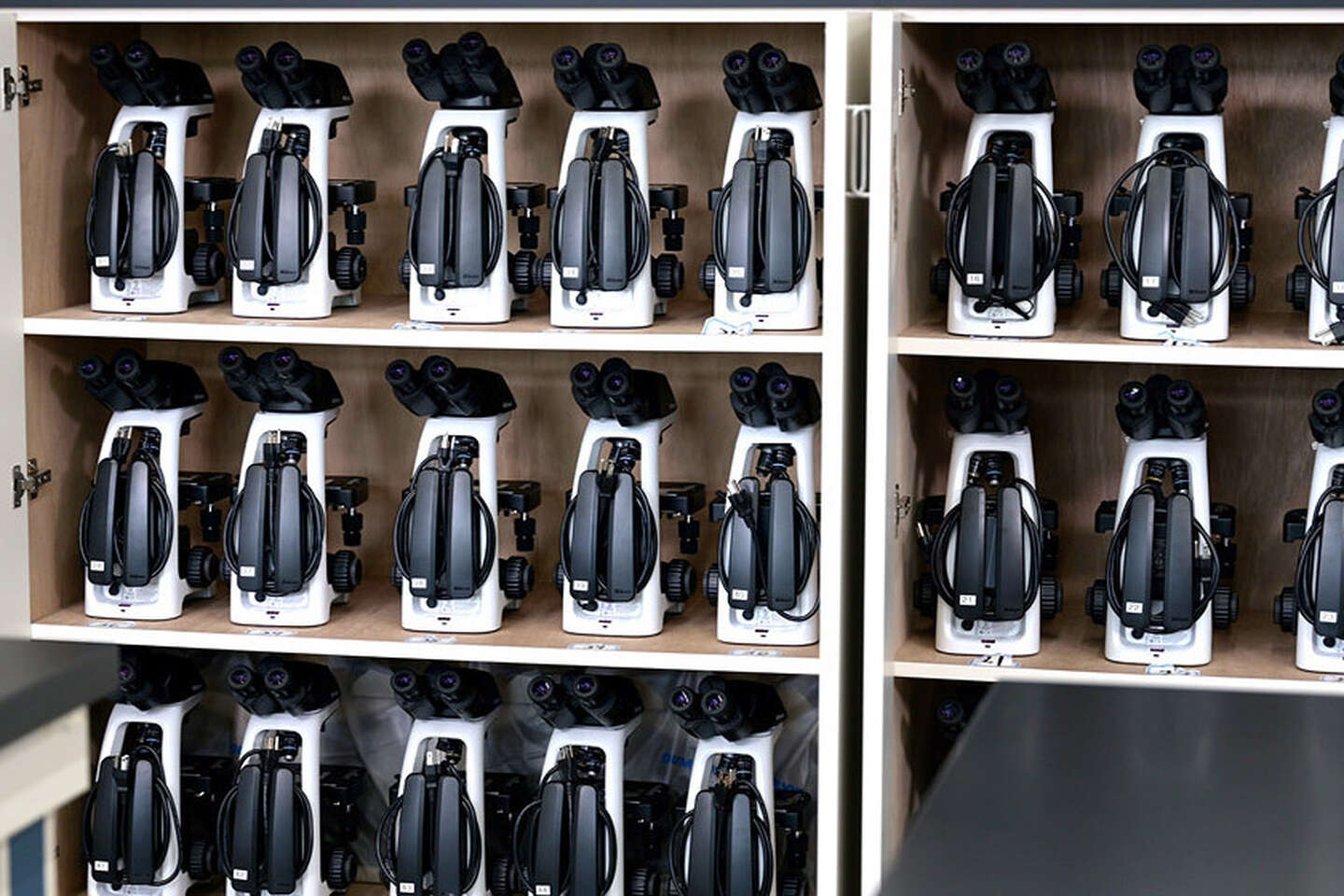 Customer Interview | ECLIPSE Ei | Upright Microscopes | Microscope ...