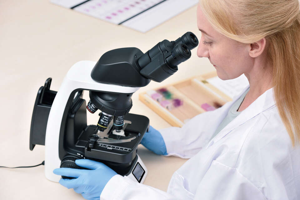 Interviews | ECLIPSE Si | Upright Microscopes | Microscope Products ...