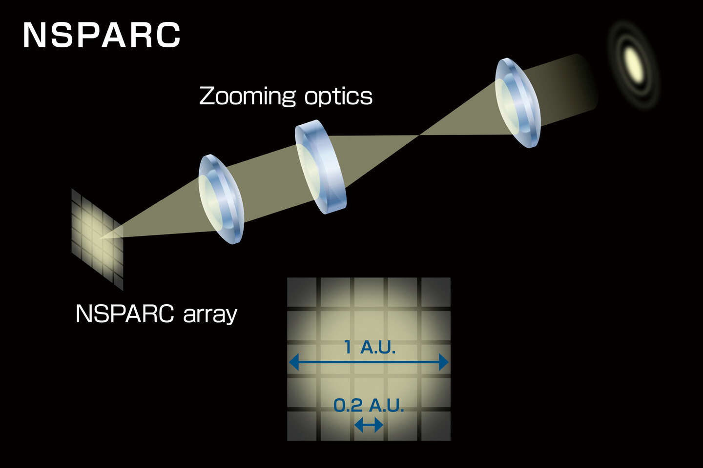 Interviews | AX / AX R with NSPARC | Confocal and Multiphoton Microscopes | Microscope Products ...