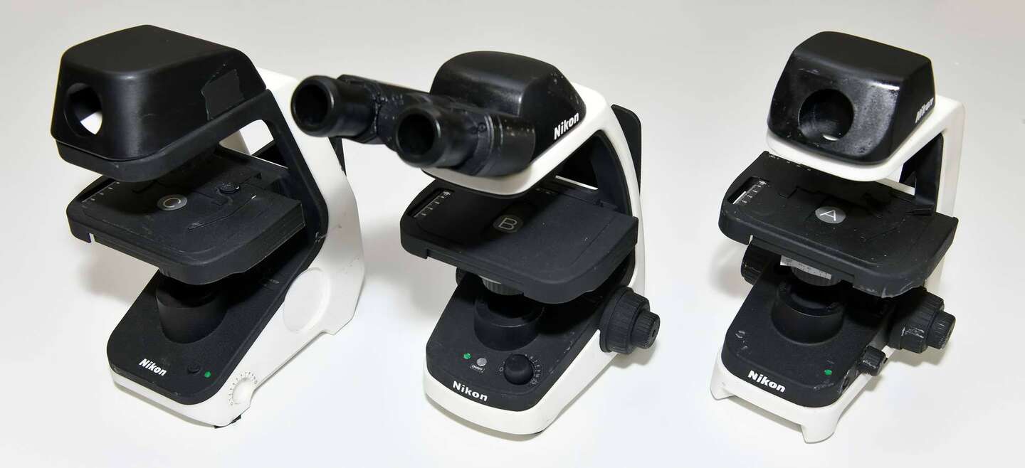An Inside Look | ECLIPSE Ei | Upright Microscopes | Microscope Products | Nikon Instruments Inc.