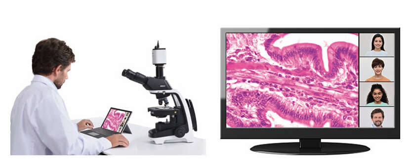 Nikon releases the "ECLIPSE Ei" educational microscope for remote ...