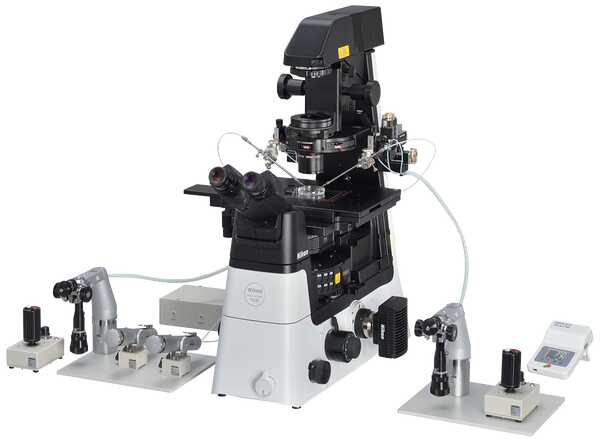 Inverted Microscopes | Microscope Products | Nikon Instruments Inc.