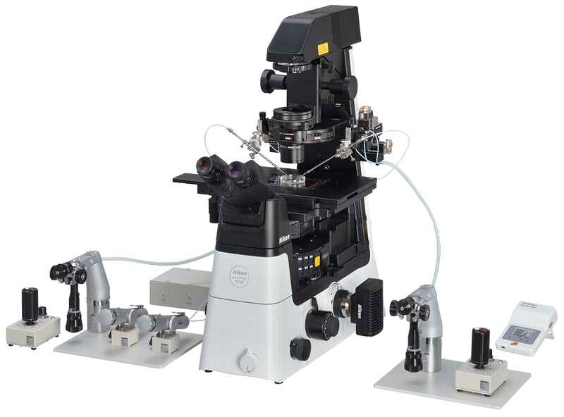 Inverted Microscopes | Microscope Products | Nikon Instruments Inc.