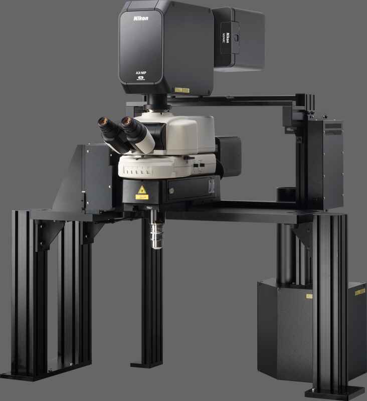 Specifications | A1 MP+ / A1R MP+ Multiphoton | Confocal and ...