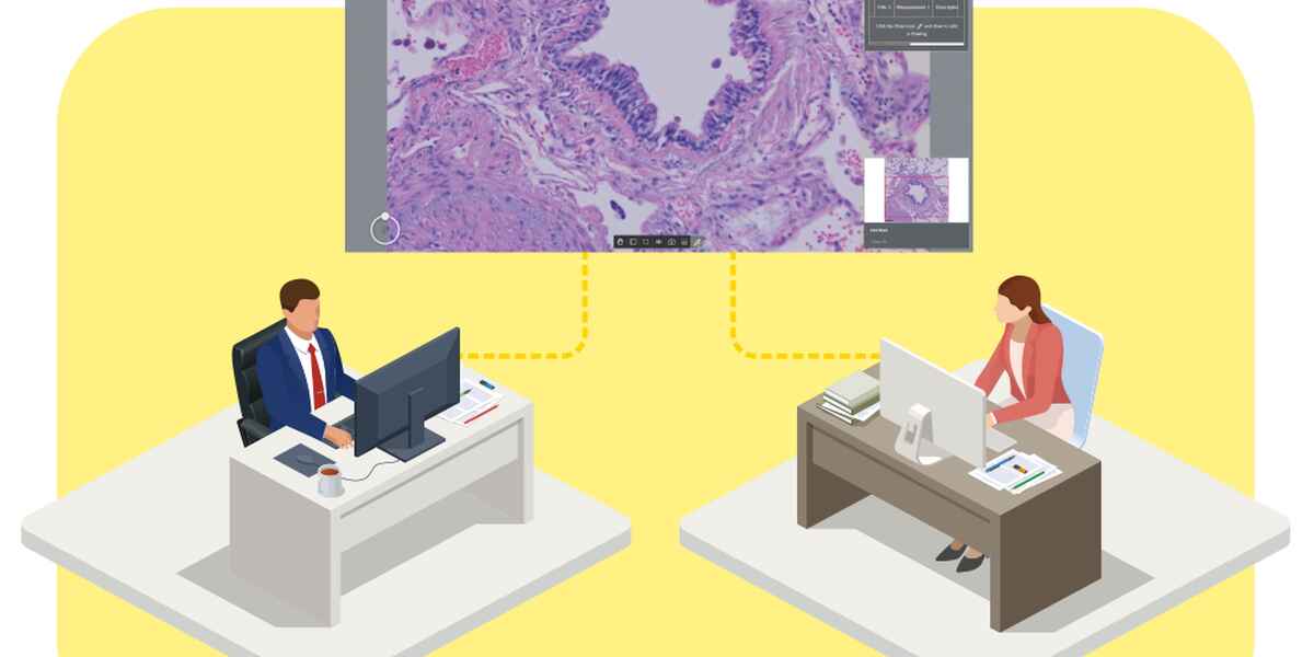 Nikon Pathology Cloud Service | サービス | 製品・サービス | 株式会社ニコンソリューションズ