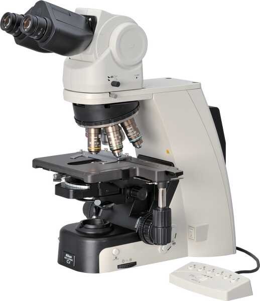 Upright Microscopes | Microscope Products | Nikon Instruments Inc.