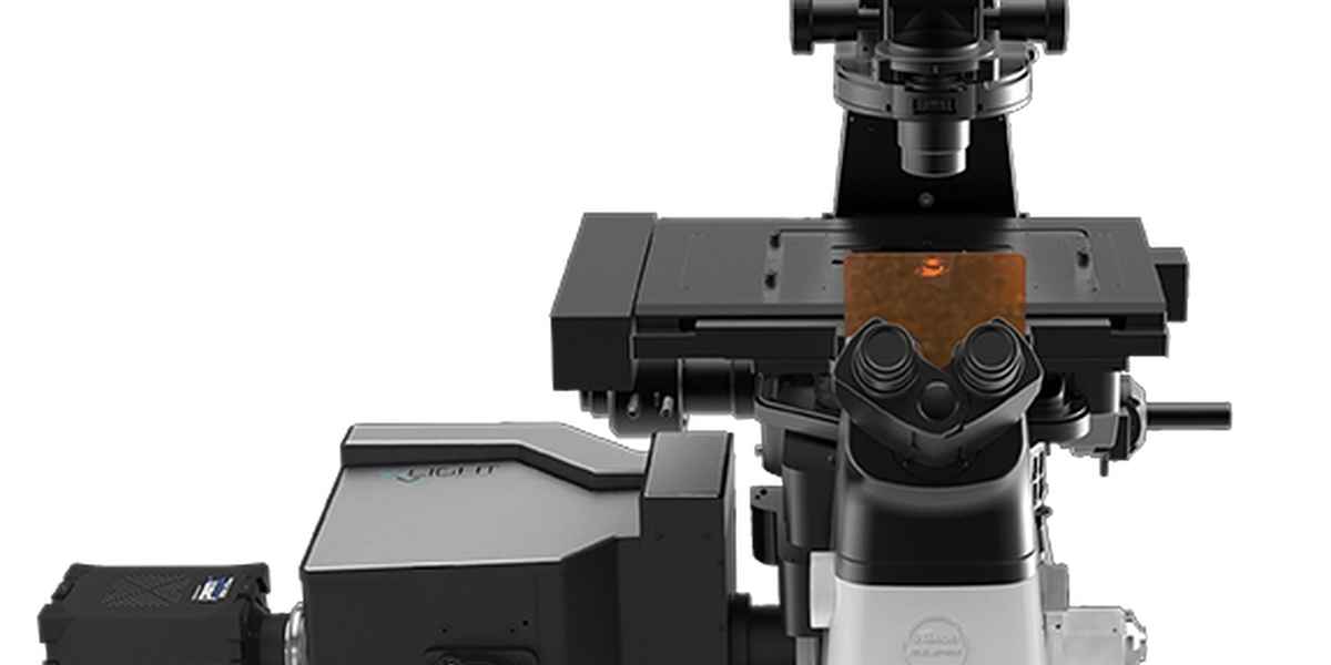 Crest X-Light V3 | Crest X-Light Series | Confocal Microscopes | Nikon ...