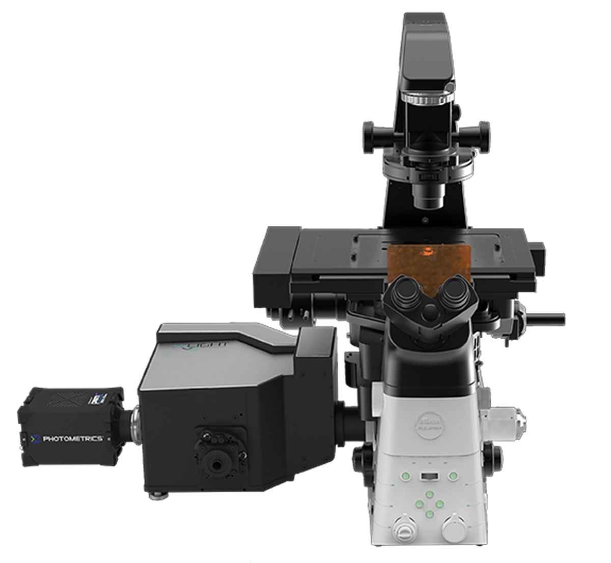 Crest X-Light Series | Confocal Microscopes | Nikon Microscope Products ...
