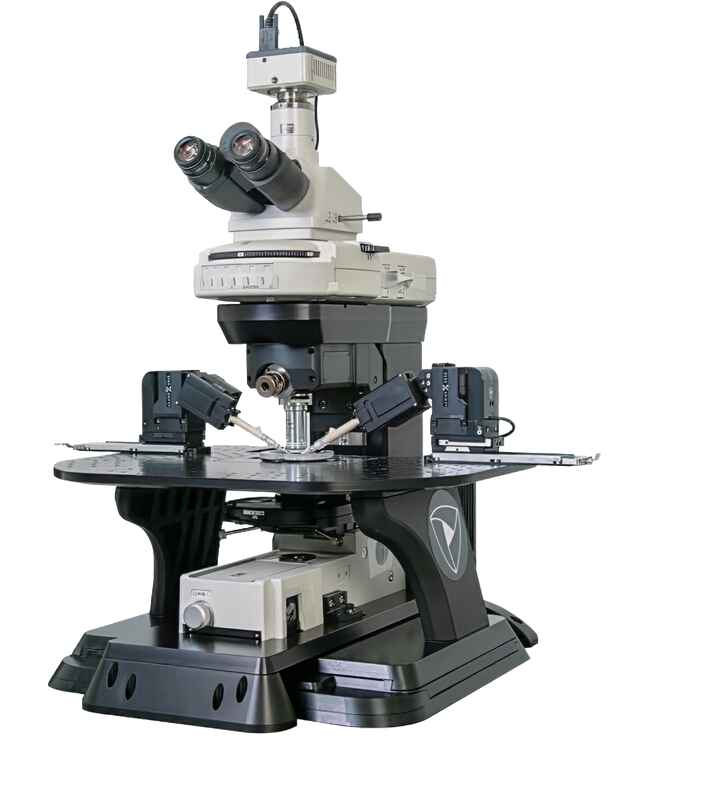 Upright Microscopes | Microscope Products | Nikon Instruments Inc.