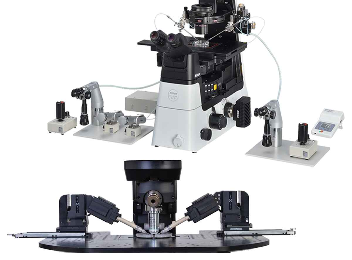 Micromanipulators | Accessories | Microscope Products | Nikon ...