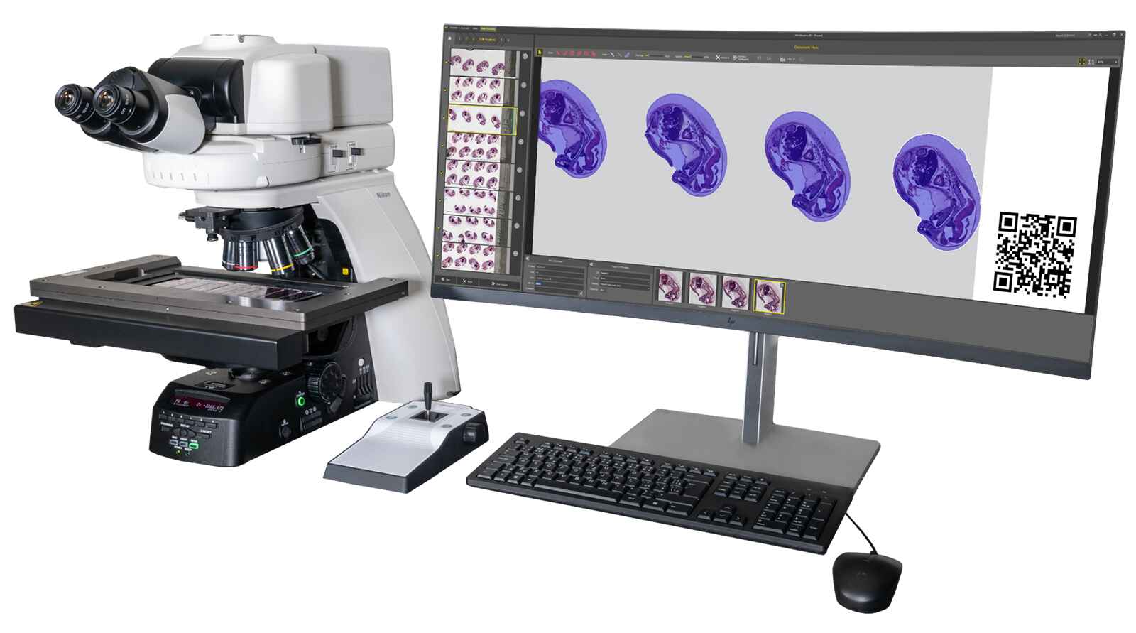 NIS-Elements Slide Scanning Module | Slide Scanning | Produkte für die ...