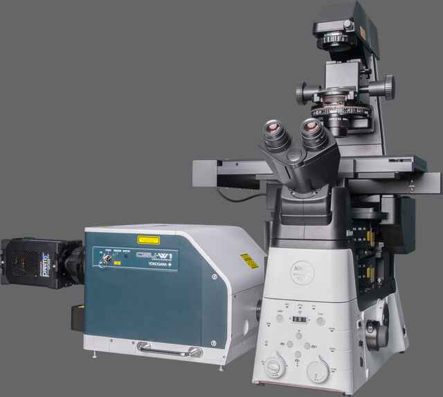 CSU-X1 | Yokogawa CSU Series | Microscope Products | Nikon Instruments Inc.