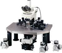 Upright Microscopes | Microscope Products | Nikon Instruments Inc.
