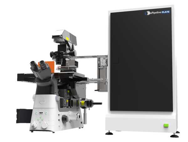 High Content Imaging | Microscope Products | Nikon Instruments Inc.