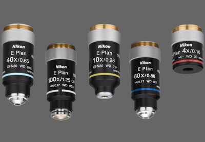 ECLIPSE Si | Upright Microscopes | Microscope Products | Nikon ...