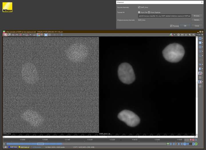 Deep Learning in Microscopy | Life Sciences | Solutions | Nikon ...