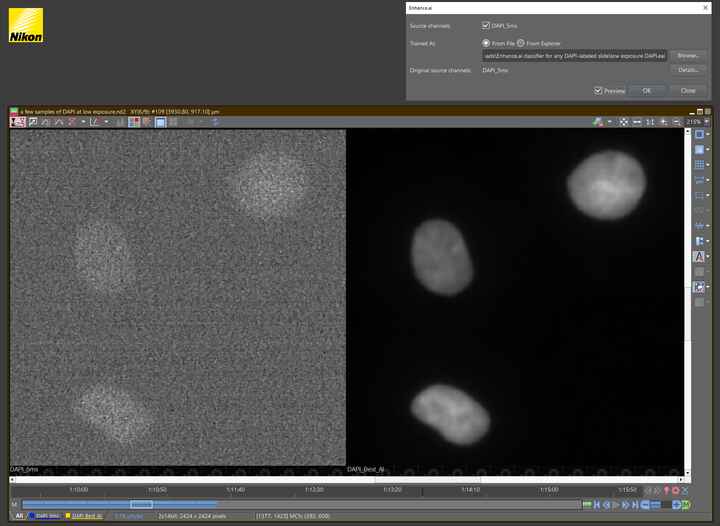 Deep Learning in Microscopy | Life Sciences | Solutions | Nikon Europe B.V.
