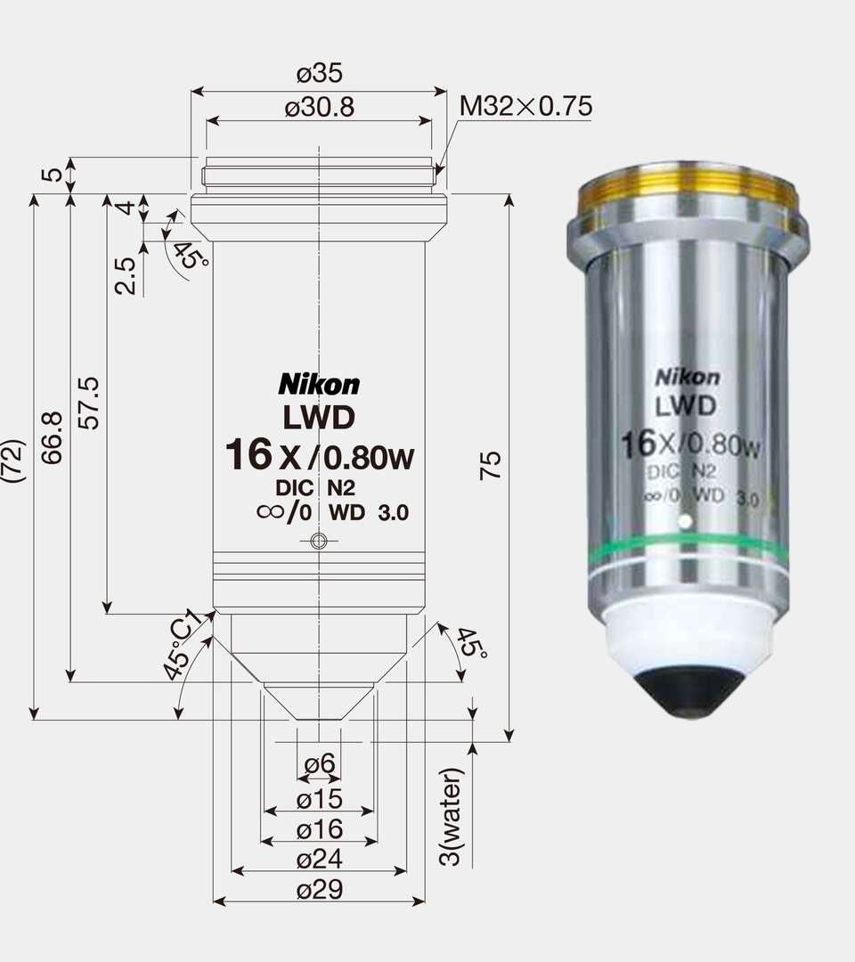Electrophysiology | Life Sciences | Solutions | Nikon Instruments Inc.