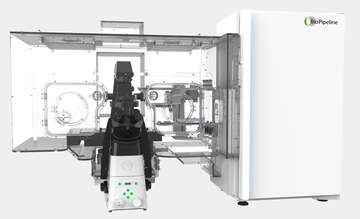 Live Cell Imaging | Life Sciences | Solutions | Nikon Instruments Inc.